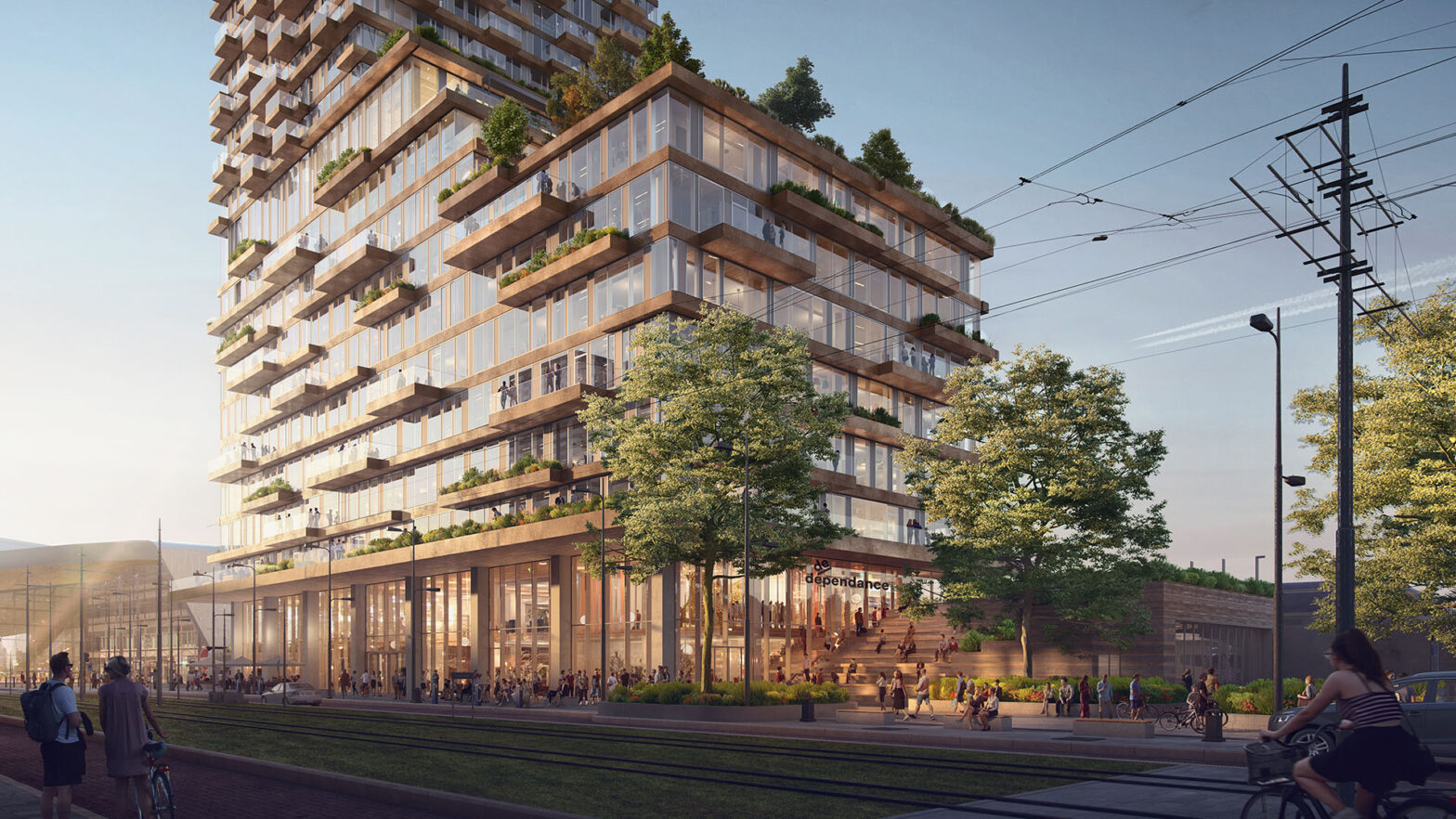 About Tree House – Tree House